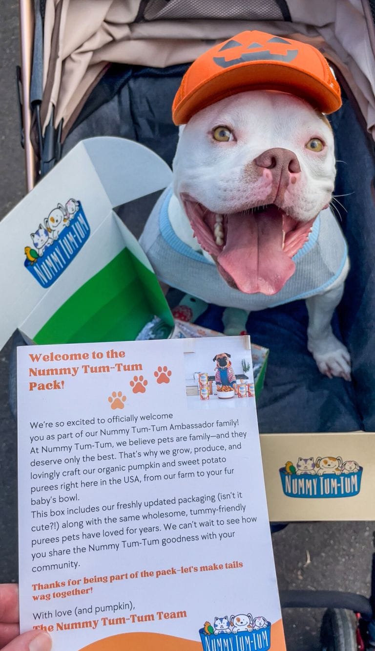 Brand Ambassadors - Nummy Tum-Tum